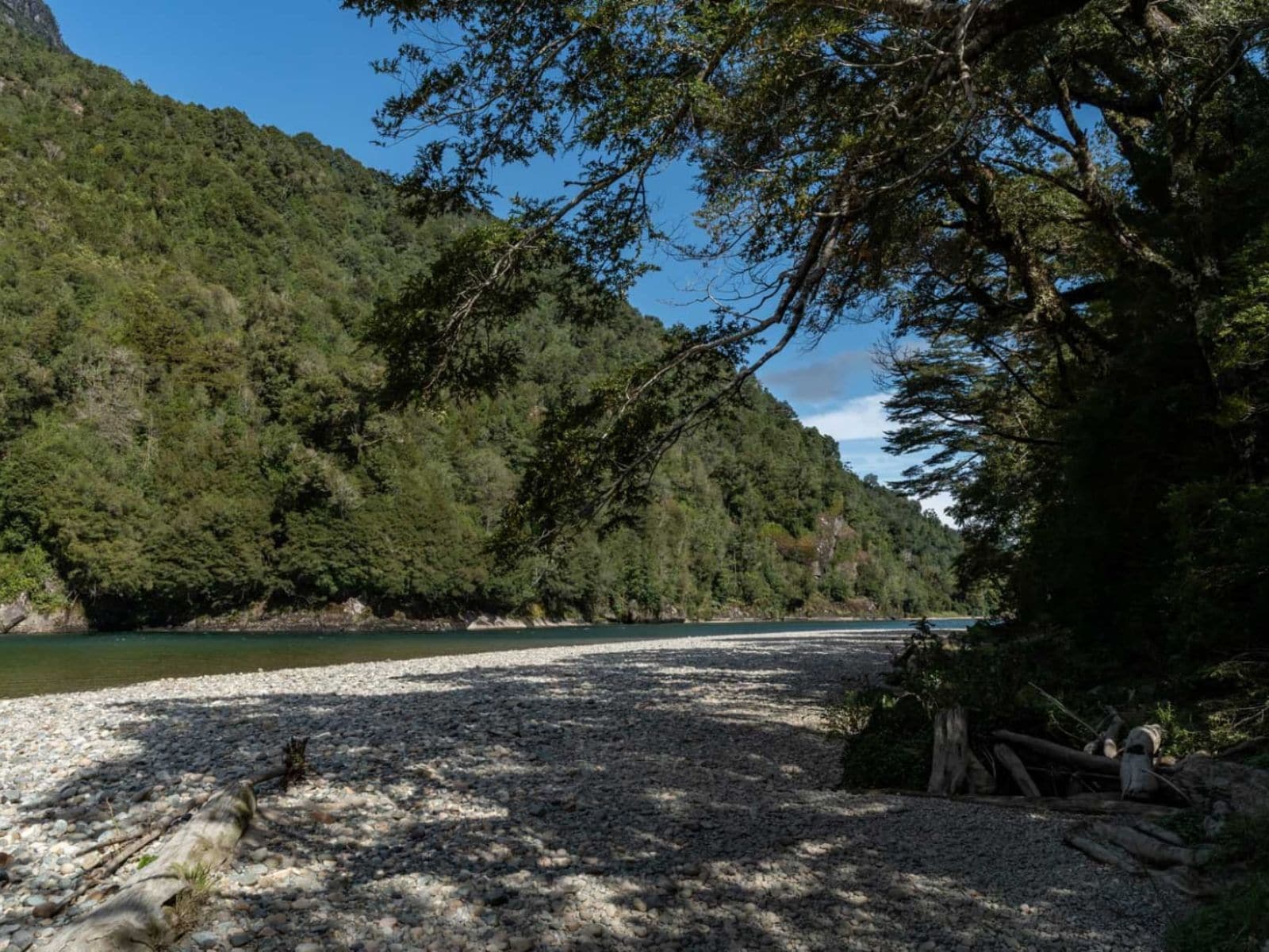 Parques De Conservación Con Bosque Nativo En El Sur De Chile