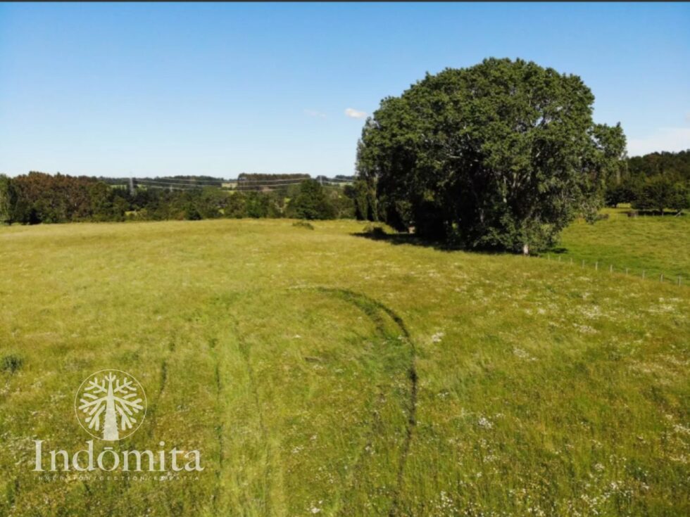 Venta De Parcelas En El Sur De Chile » Inmobiliaria Indómita